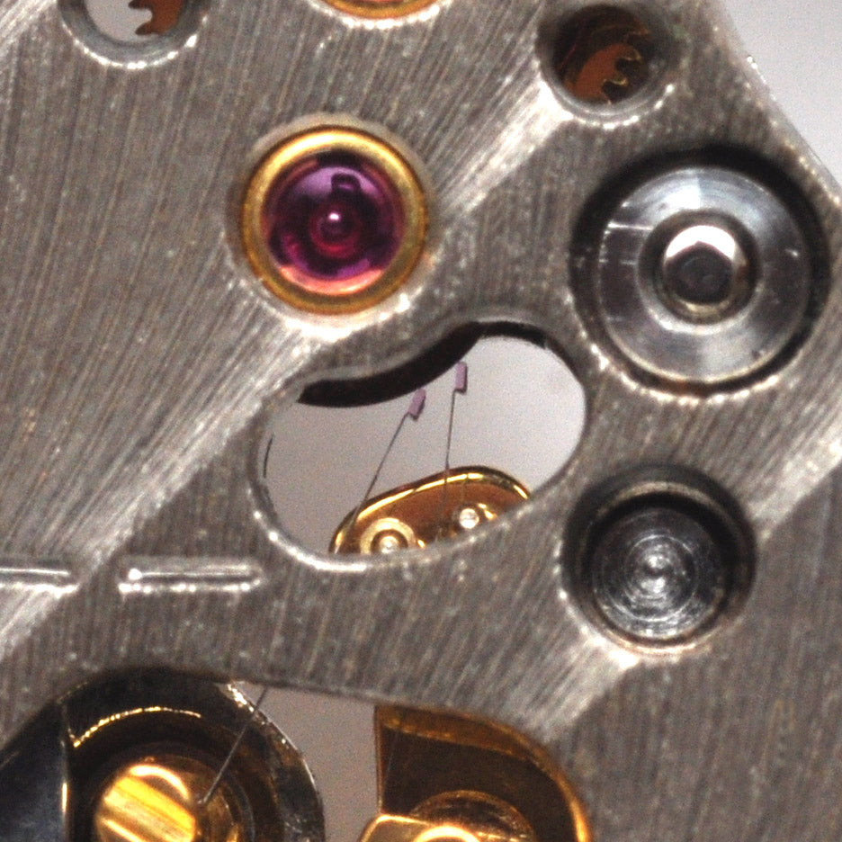 ESA 9162, Plate And Oscillating Module – urdelar.se